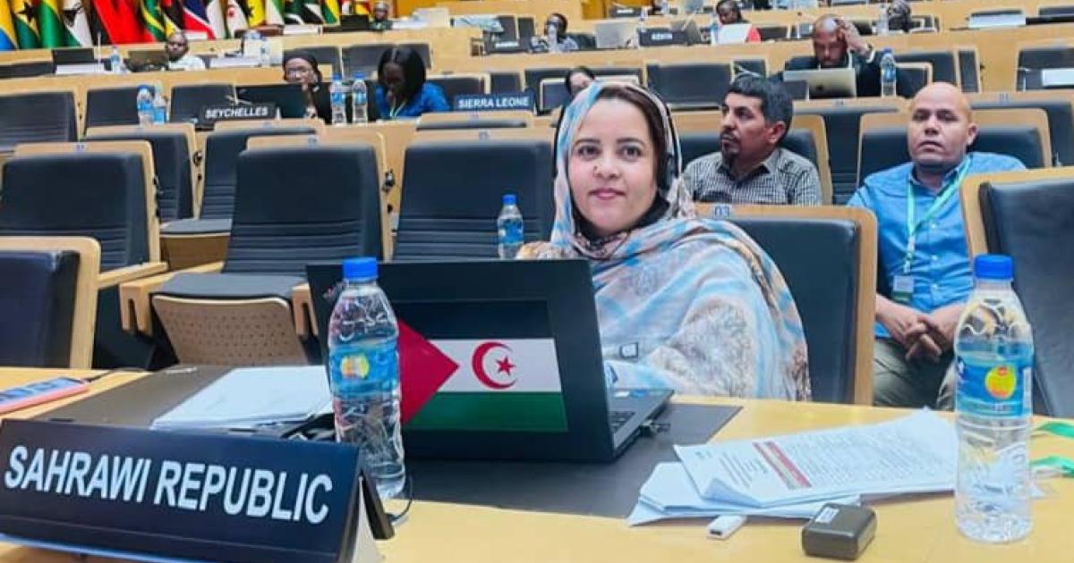 Sahrawi Republic presents its experience in field of local health ...