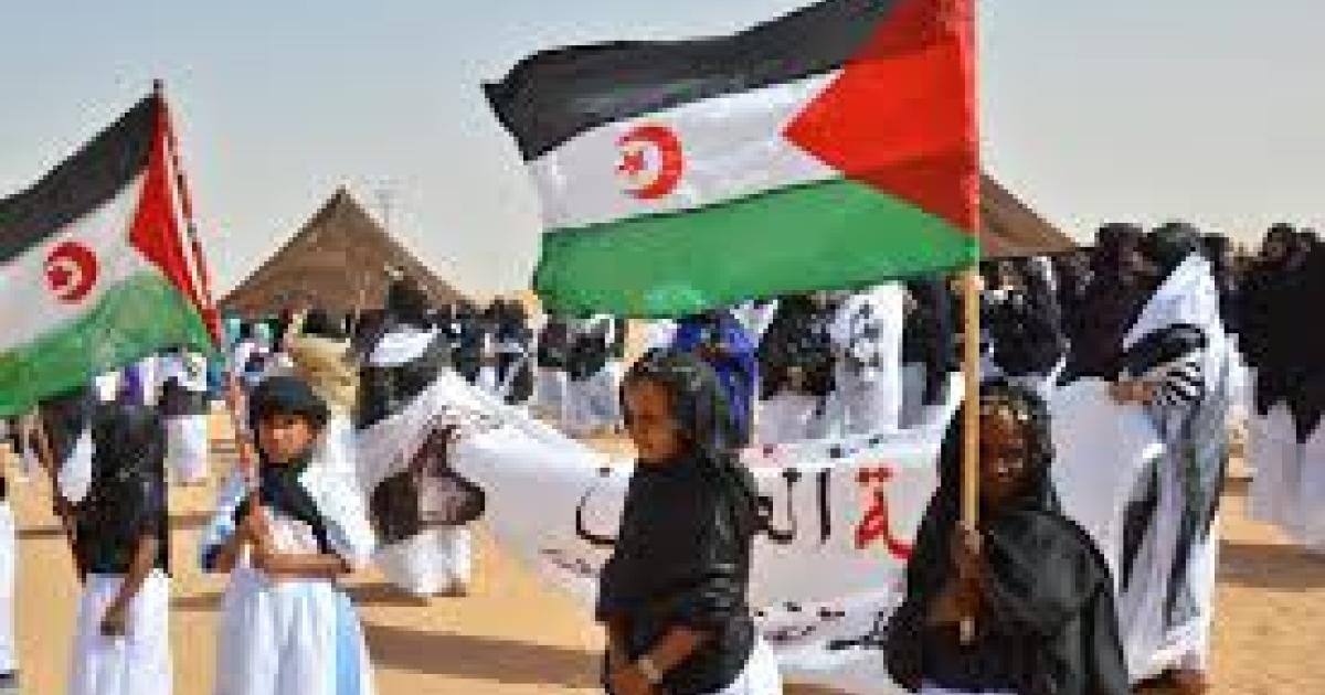 Organization of International Conference of solidarity with Sahrawi ...